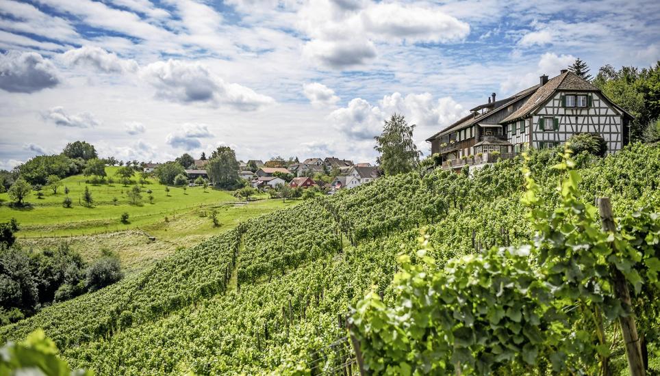 Vor 900 Jahren wurde Buchberg zum ersten Mal erwähnt | Schaffhauser ...