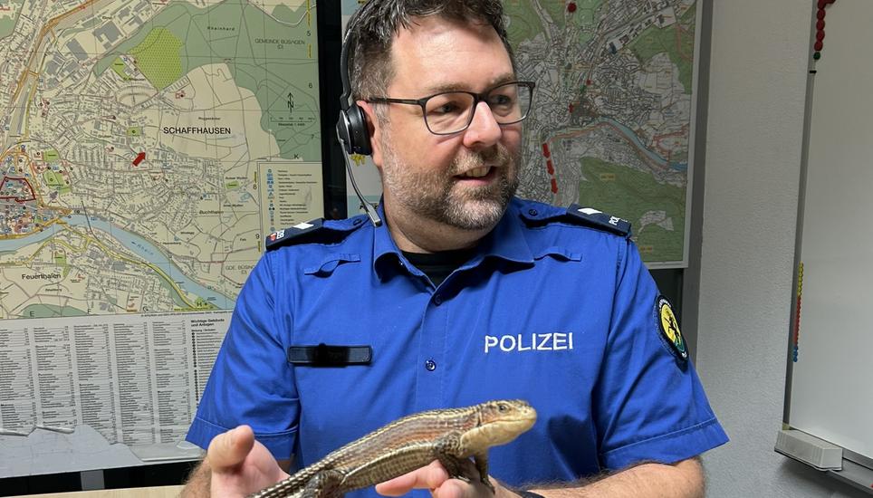 Polizisten fangen Sudan-Schildechse in der Stadt Schaffhausen ein ...