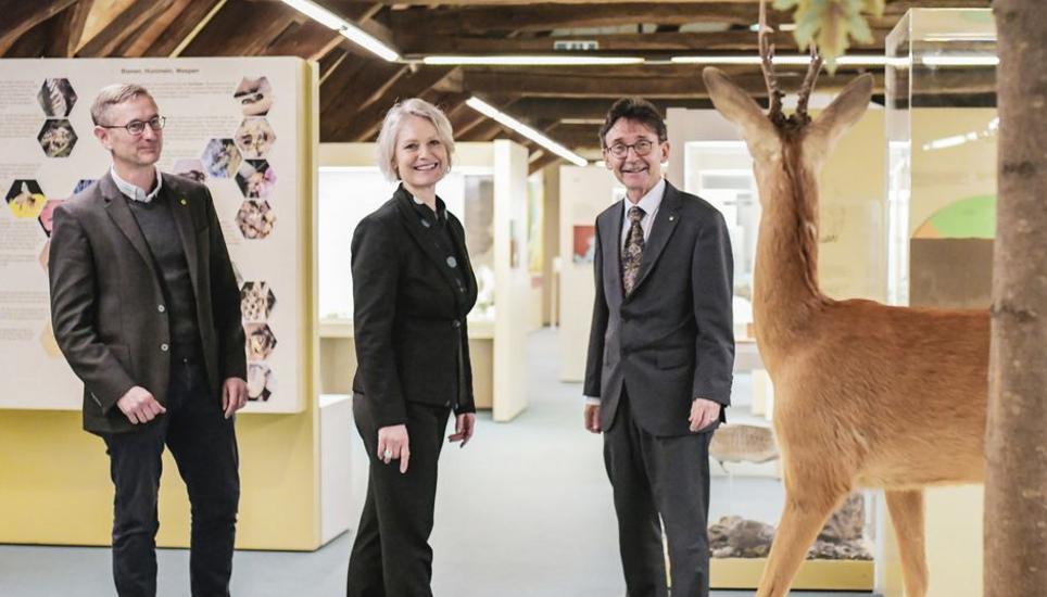 Museum zu Allerheiligen erhält eine neue Naturabteilung | Schaffhauser ...